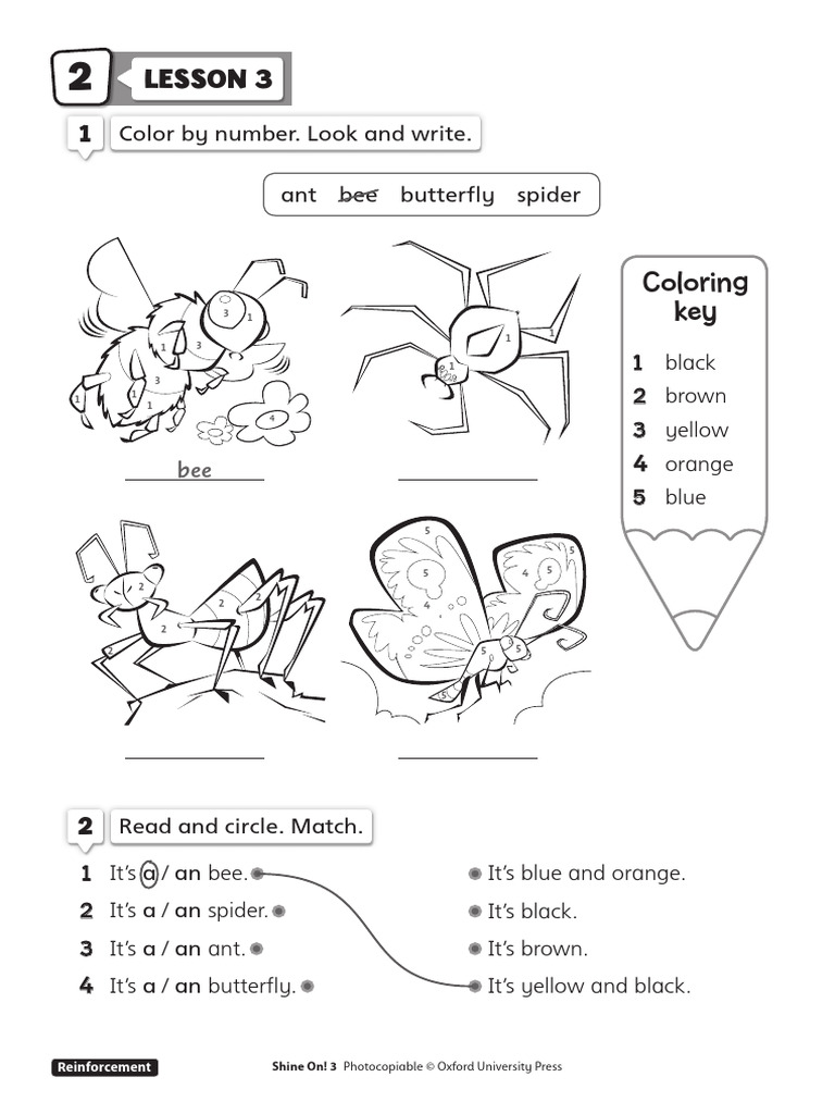 u2_l3_reinforcement (1) | PDF