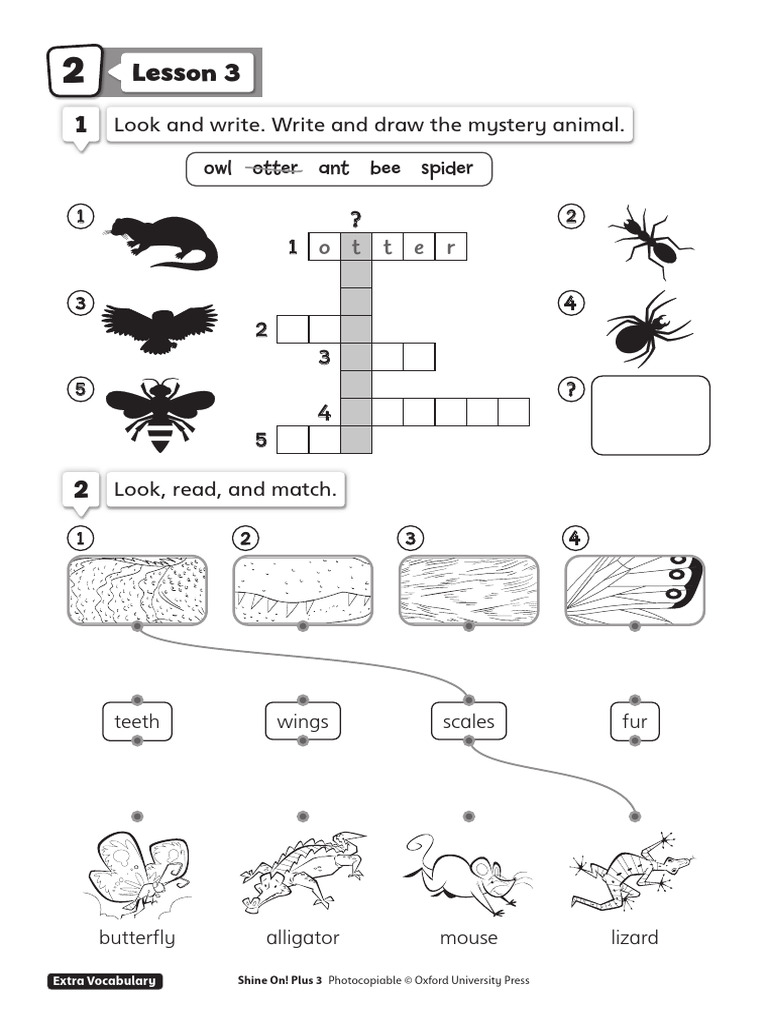 Unit 2 Extra Vocabulary Worksheet | PDF