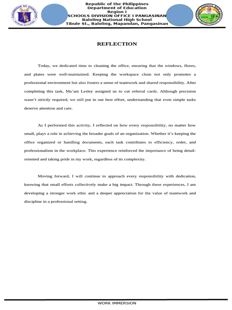 Reflection | PDF | Experience | Learning