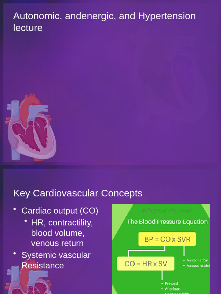 Hypertension & Adrenergic Drugs Overview | PDF | Cardiovascular System ...