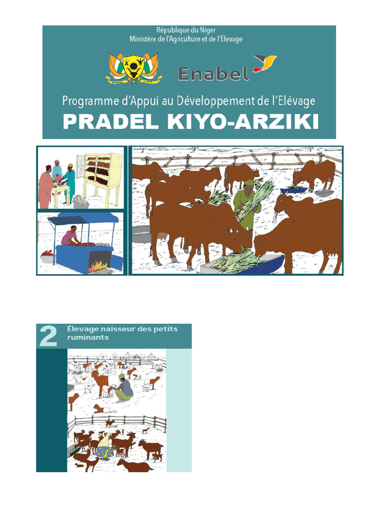 Élevage de petits ruminants au Niger | PDF | Mouton | Chèvre