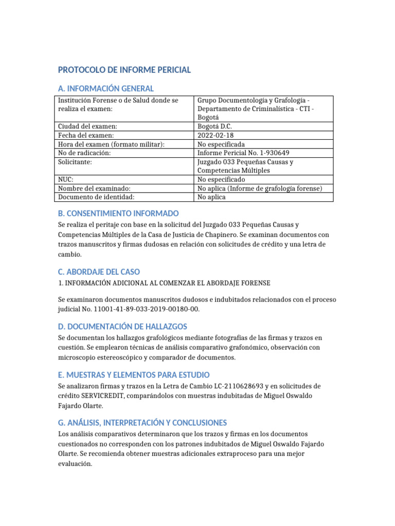 Formato Informe Pericial Llenado | PDF