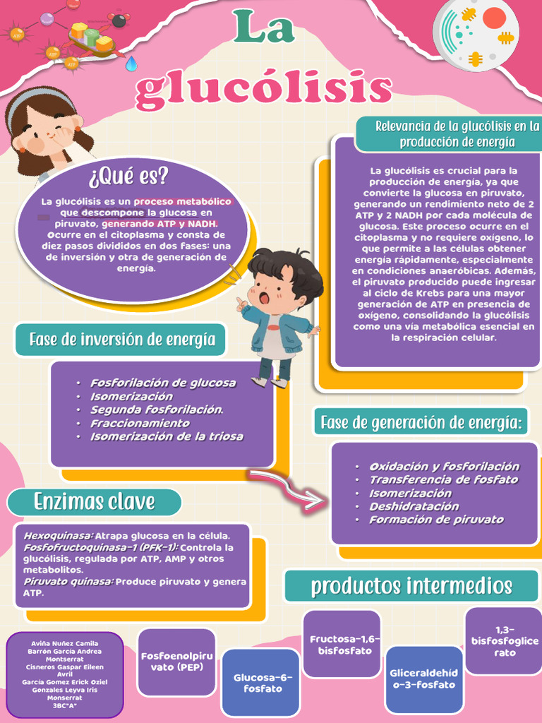 Glucólisis: Proceso y Función Energética | PDF | Glucólisis ...