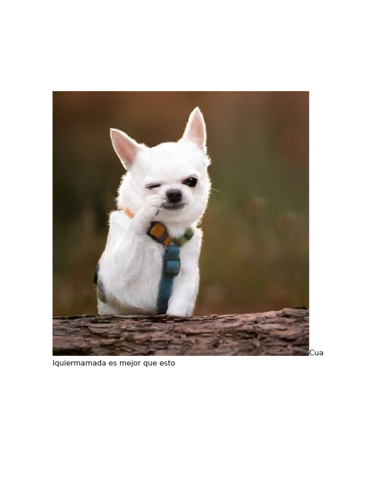 Toma Nota Clases 23 Dic | PDF