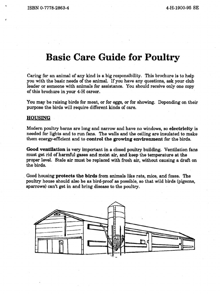 4-H Poultry Project Reference Manual | PDF