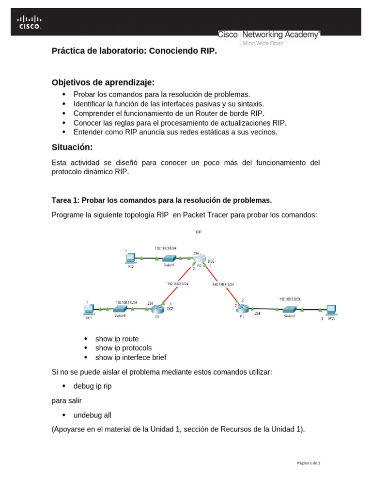Práctica de Laboratorio RIP: Comandos y Funciones | PDF