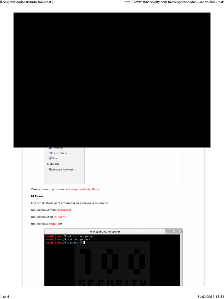 Recuperar dados usando foremost | PDF
