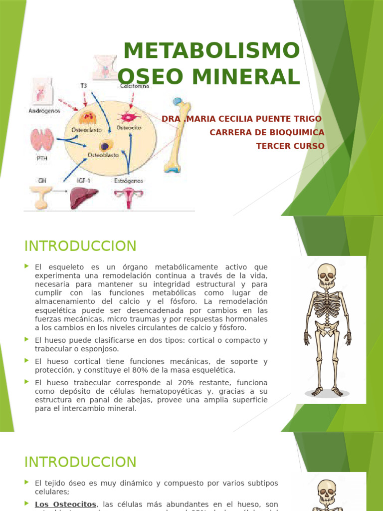 Metabolismo Oseo Mineral | PDF | Vitamina D | Calcio