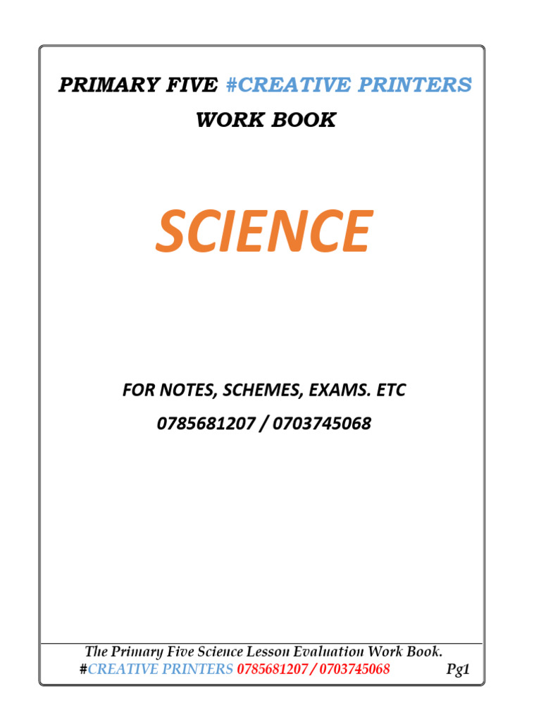 Evaluation Workbook P5 Science | PDF | Digestion | Small Intestine