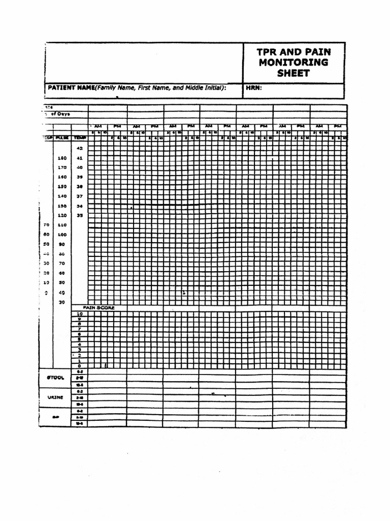 TPR and Pain Monitoring Sheet | PDF