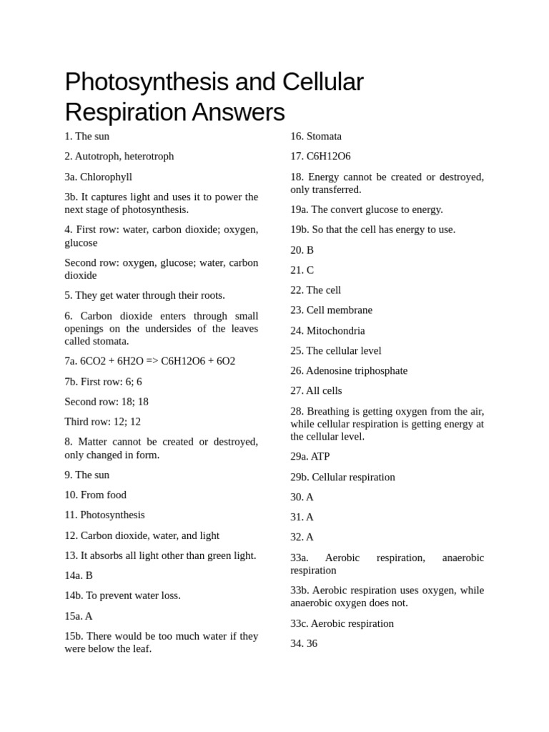Photosynthesis and Cellular Respiration Answers | PDF | Cellular ...
