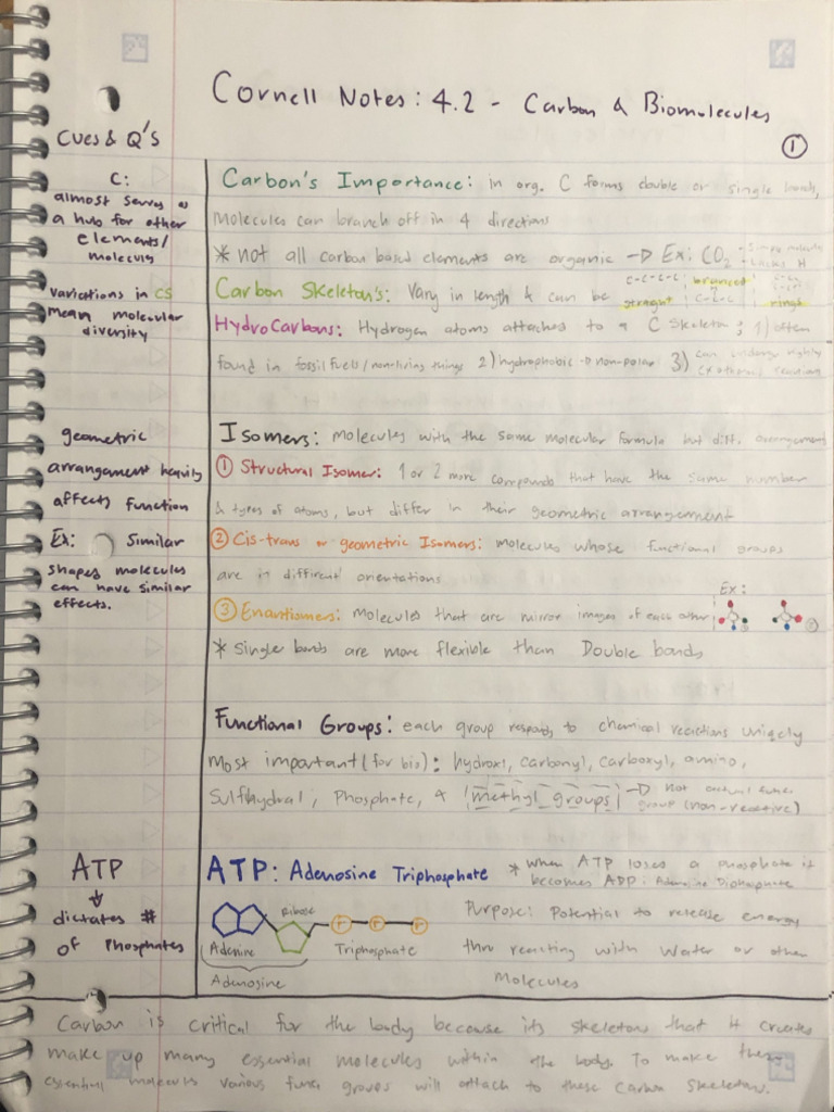 Cornell Notes 4 2 Pdf