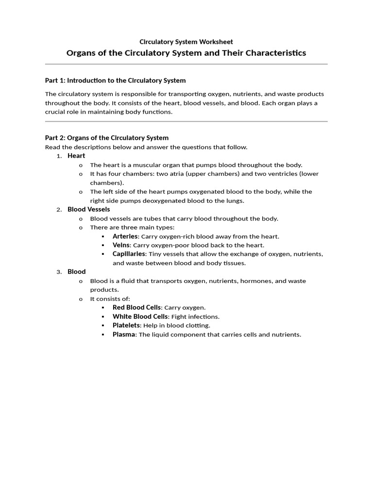 Circulatory System Overview Worksheet | PDF | Circulatory System | Blood