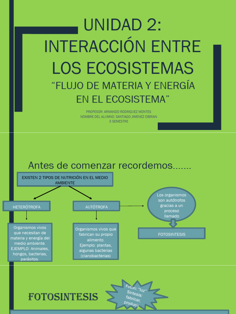 Flujo de Energía en Ecosistemas | PDF | Fotosíntesis | Red alimentaria