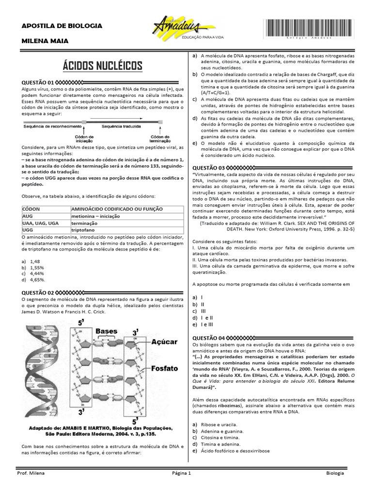 Apostila Sobre Ã - CIDOS NUCLEICOS | PDF | RNA | DNA
