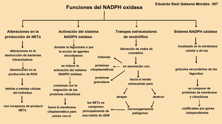 Funciones Del NAPH | PDF | Biología Celular) | Biología