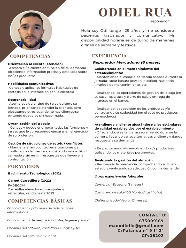 CV Odi: Reponedor con experiencia y habilidades | PDF