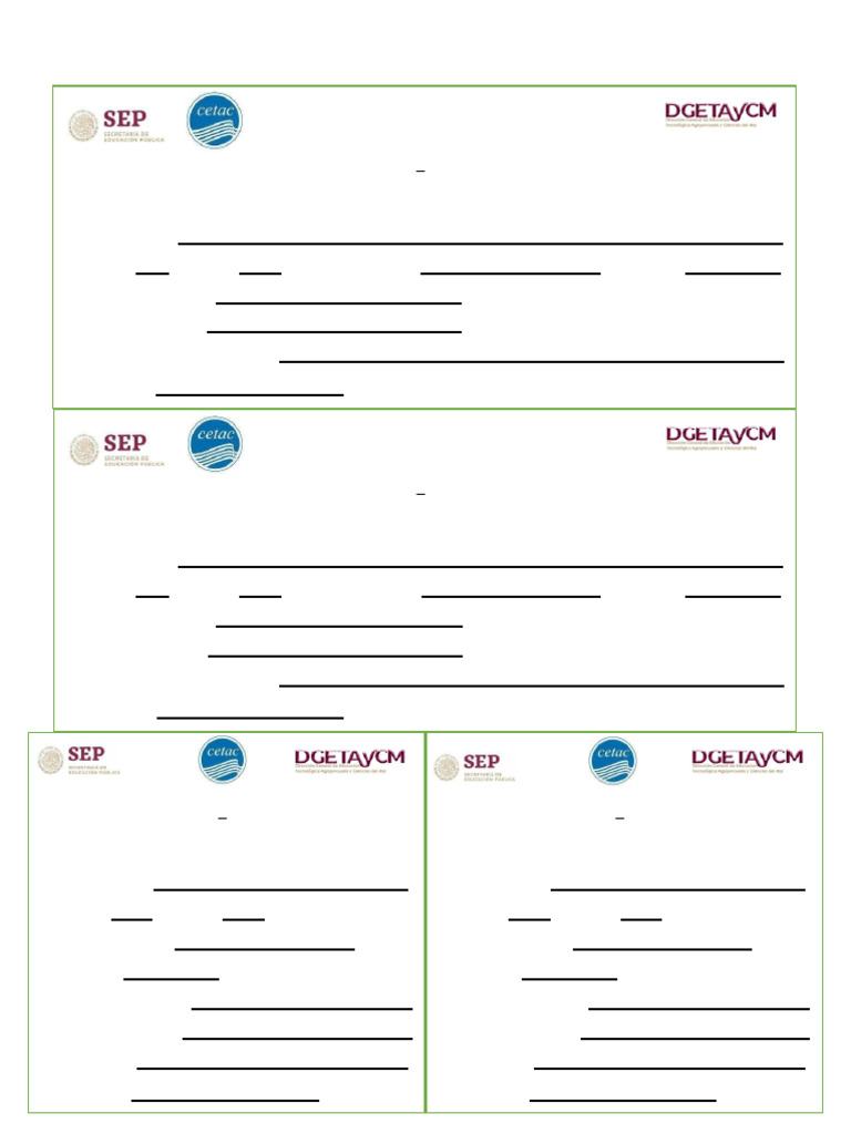 STICKER DATOS PORTADAS FEB - JUL 2025 LyC II | PDF