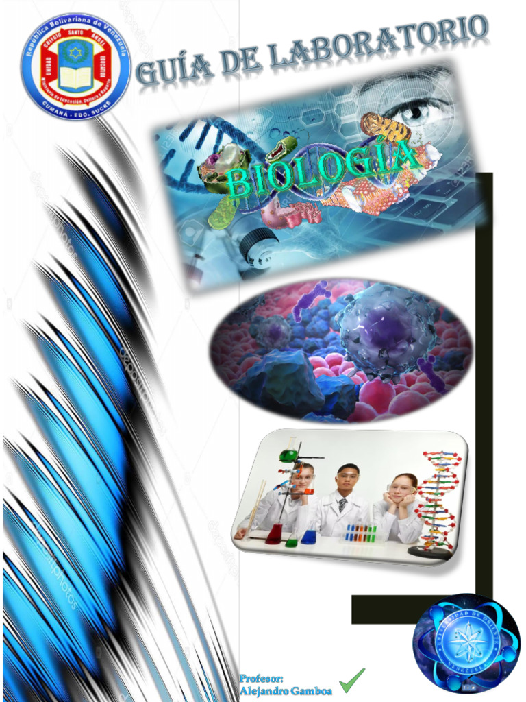 Practica 3 Lipidos Pdf