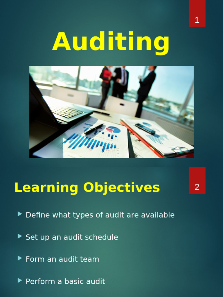 Comprehensive Guide to Auditing Basics | PDF | Audit | Internal Audit