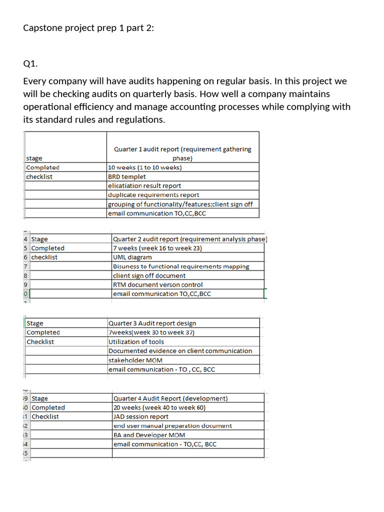 Capstone Project Audit and Strategy Guide | PDF | Use Case | Unified Modeling Language