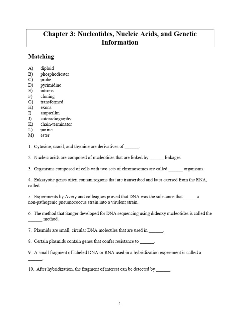 Nucleotides and Genetic Information Quiz | PDF | Dna | Nucleotides