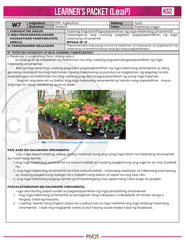 Q4 Elem AFA 4 Week7 | PDF