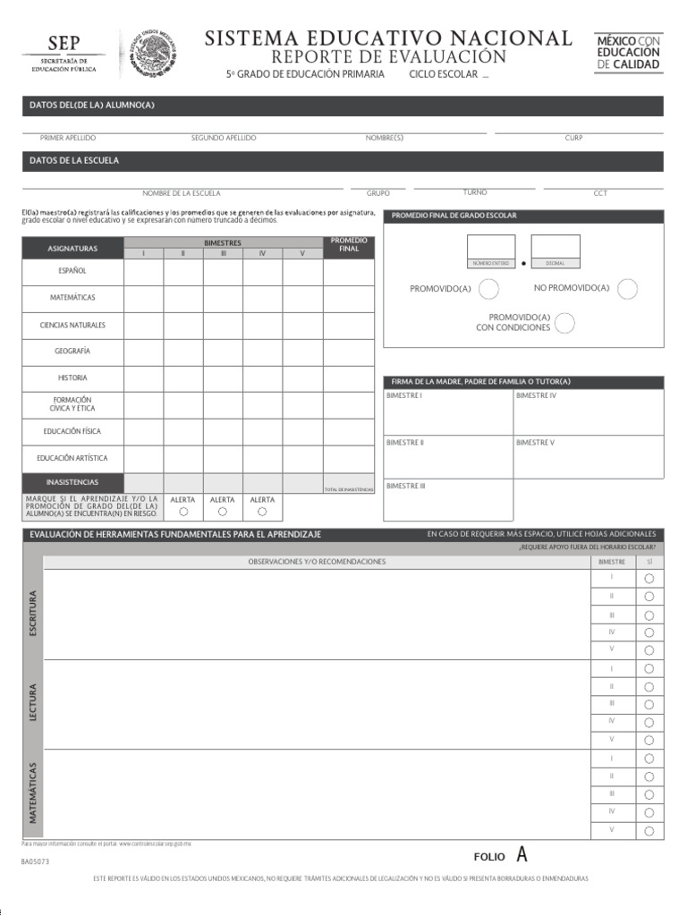 Primaria 5 | PDF | Comprensión lectora | Evaluación