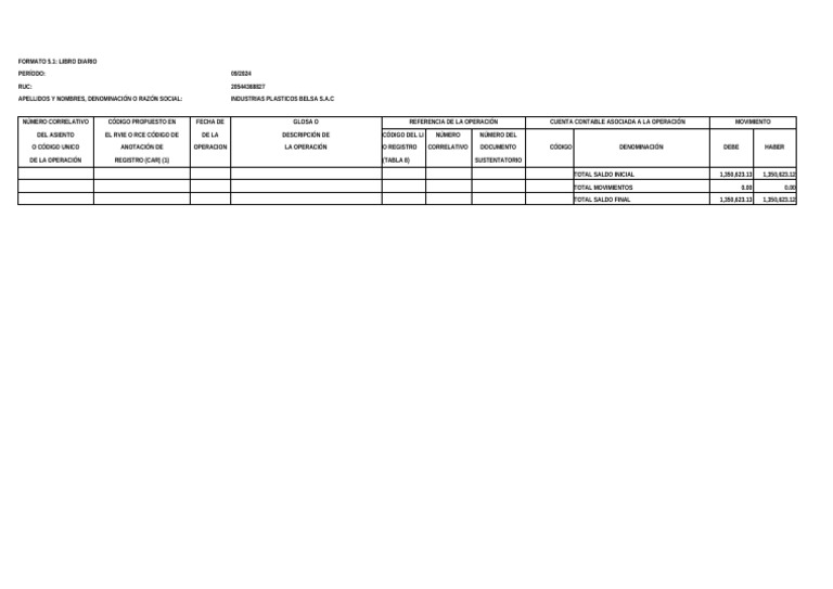 Libro Diario Enero 06022025 | PDF