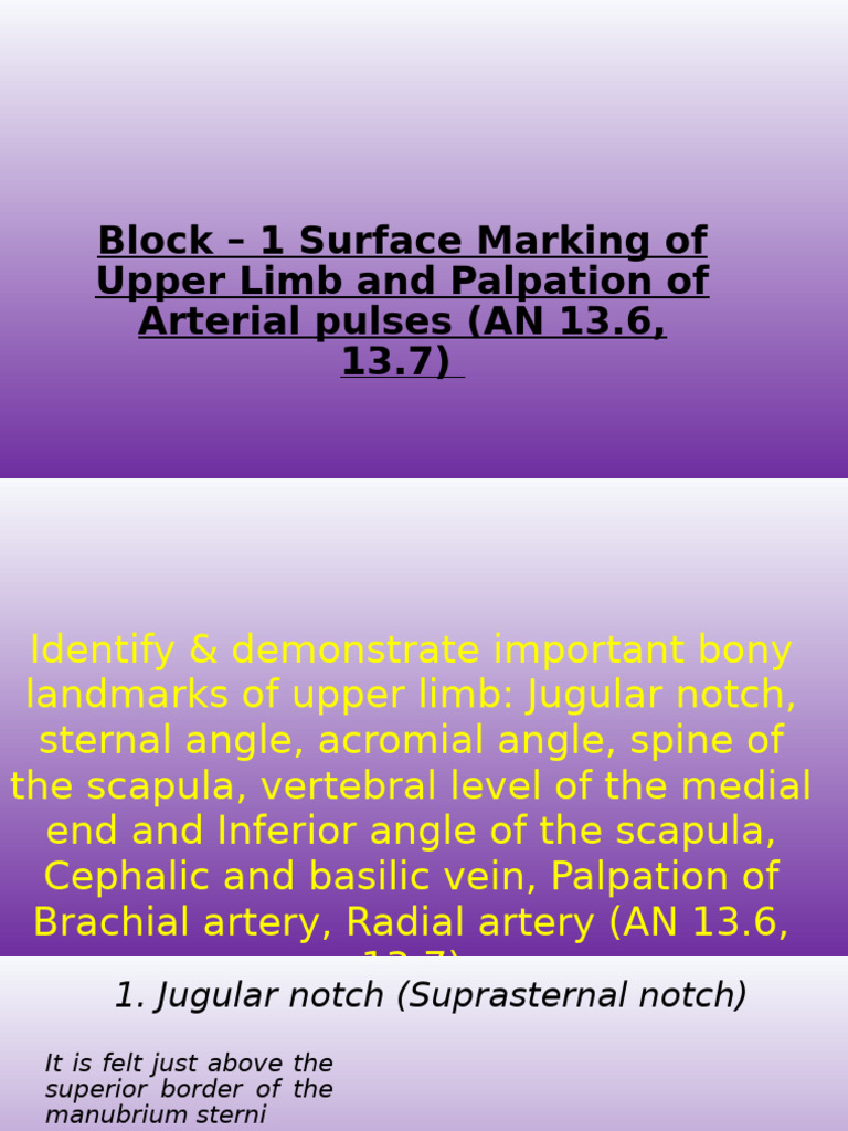 Upper Limb Surface Markings and Pulses | PDF | Vertebra | Elbow