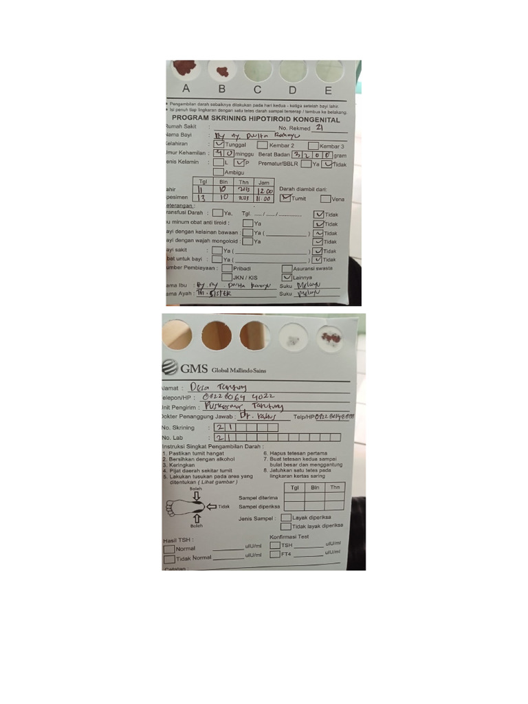 Foto Sampel SHK | PDF