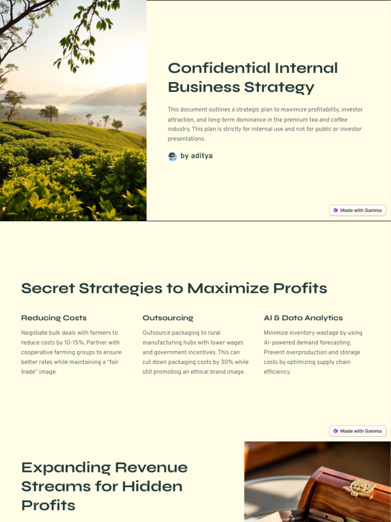 Confidential-Internal-Business-Strategy | PDF | Strategic Management ...