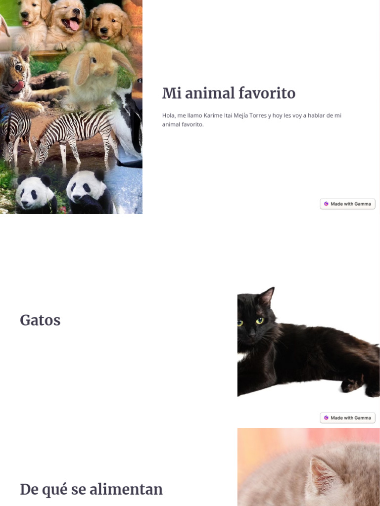 Mi Animal Favorito | PDF