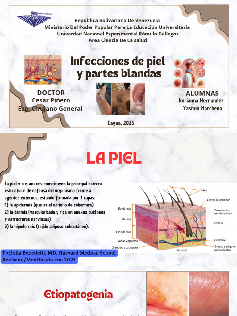 Infecciones de Piel y Partes Blandas | PDF | Piel | Infección