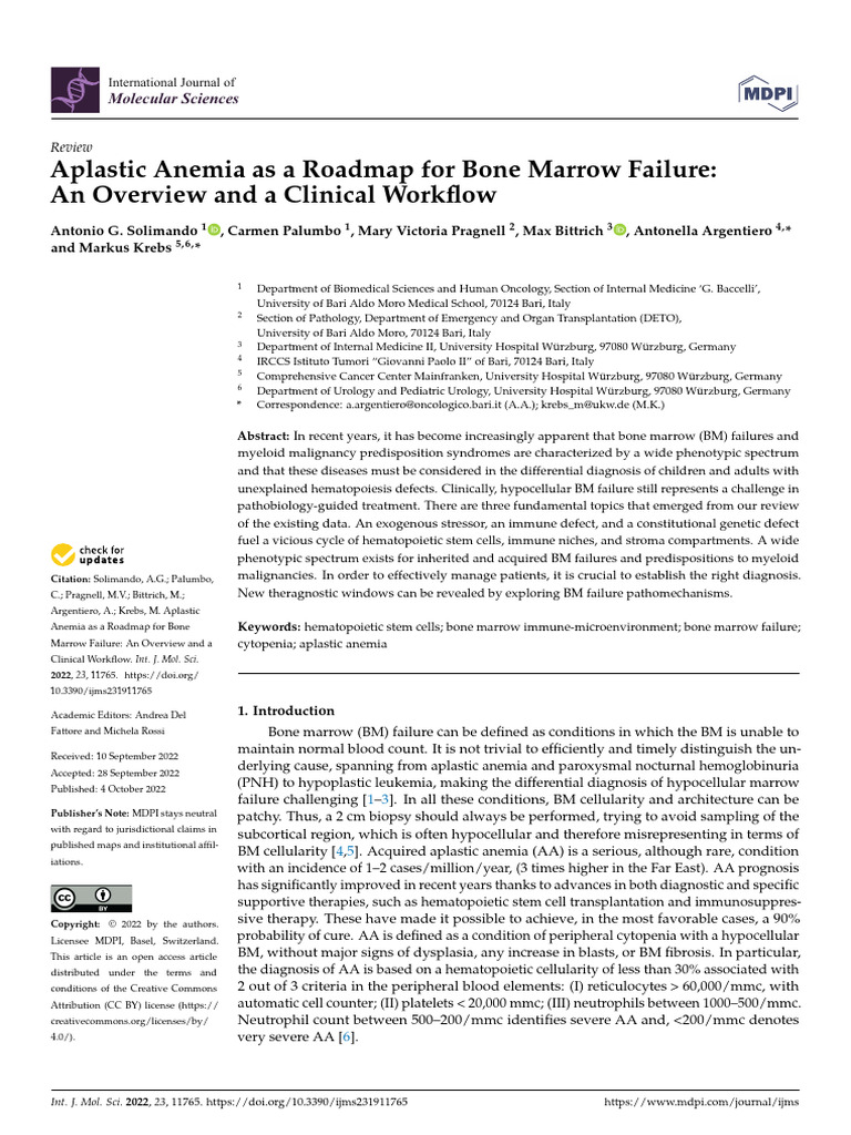 Aplastic Anemia As A Roadmap For Bone Marrow Failure An Overview and A ...