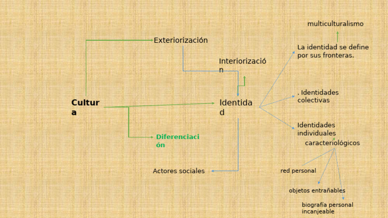 Organizador Grafico - Maria Del Pilar Parez Vazquez | PDF