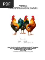 PROPOSAL Usaha Ayam Kampung | PDF