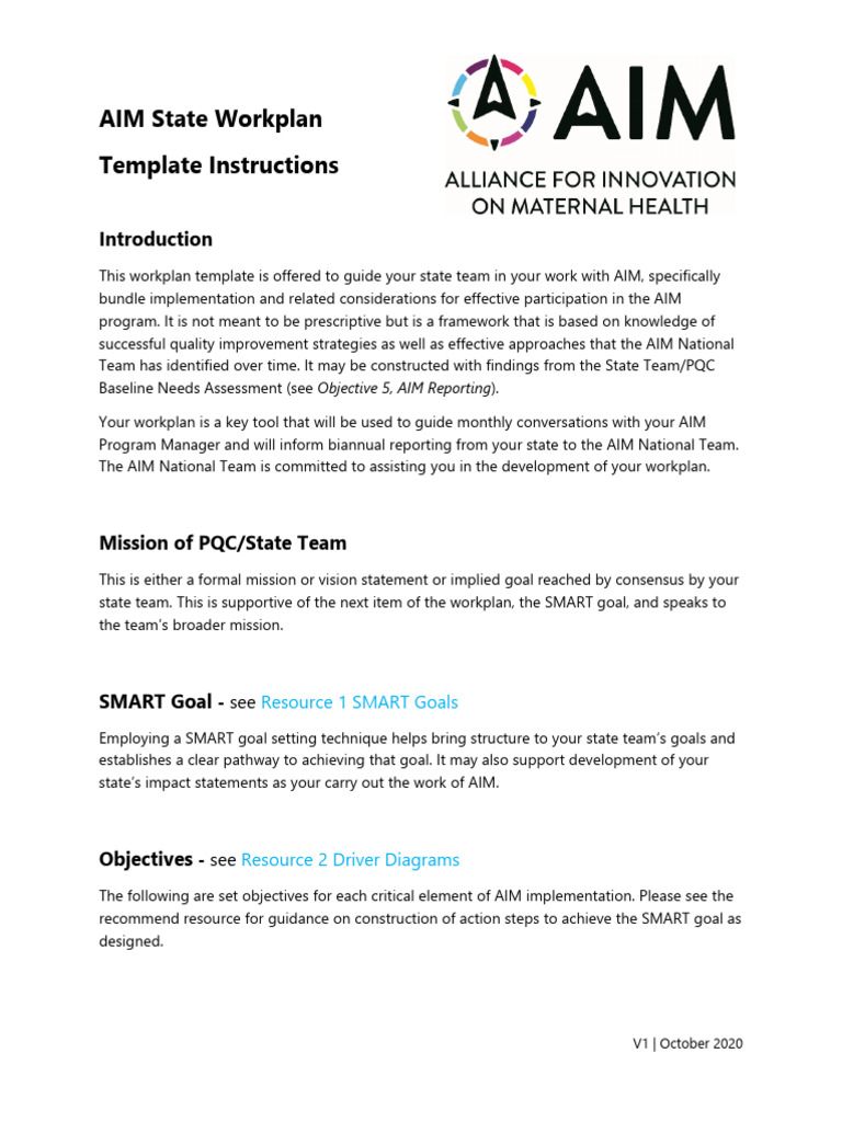 AIM State Workplan Template Guide | PDF | Goal | Childbirth