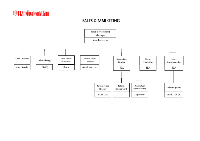Sales and Marketing Structure Overview | PDF