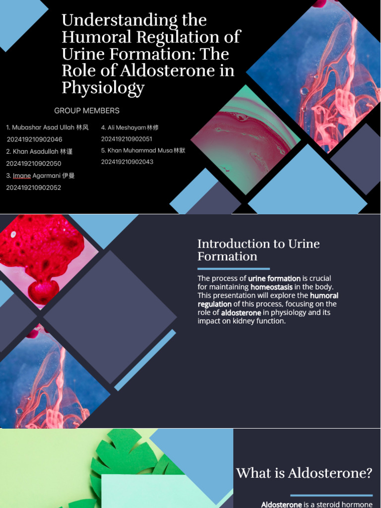 Understanding The Humoral Regulation of Urine Formation The Role of ...