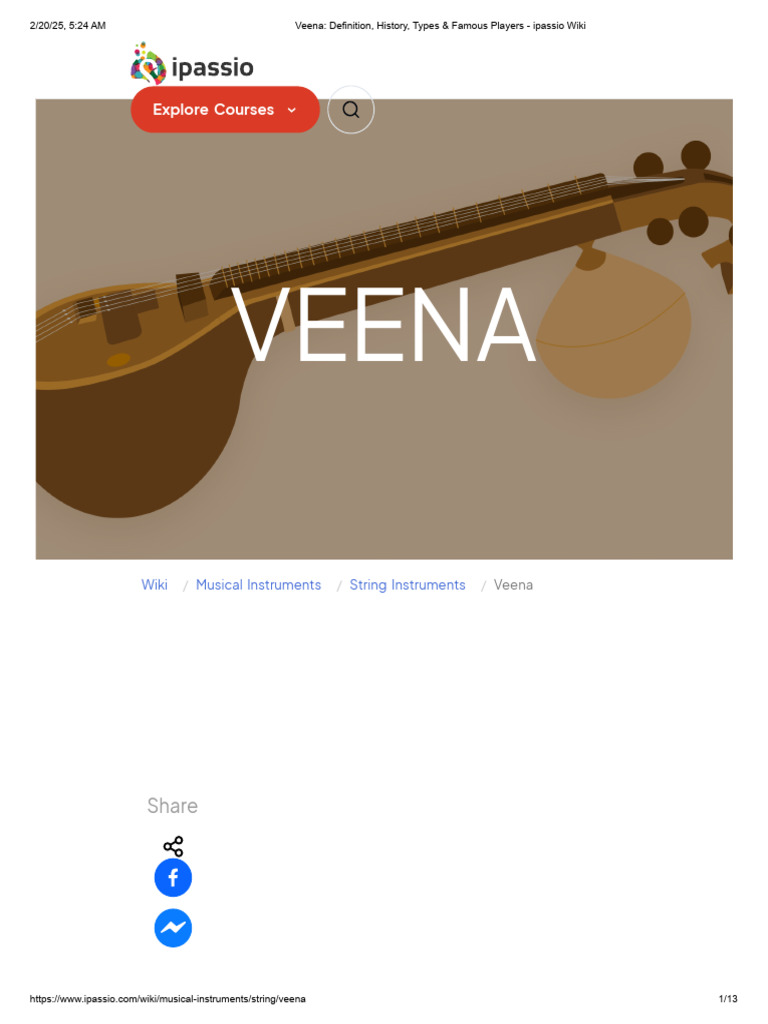Veena - Definition, History, Types & Famous Players - Ipassio Wiki ...
