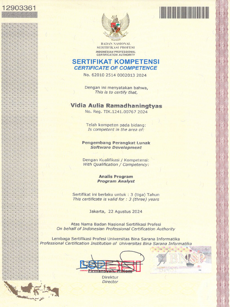 SERTIFIKAT BNSP ANALIS PROGRAM VIDIA | PDF