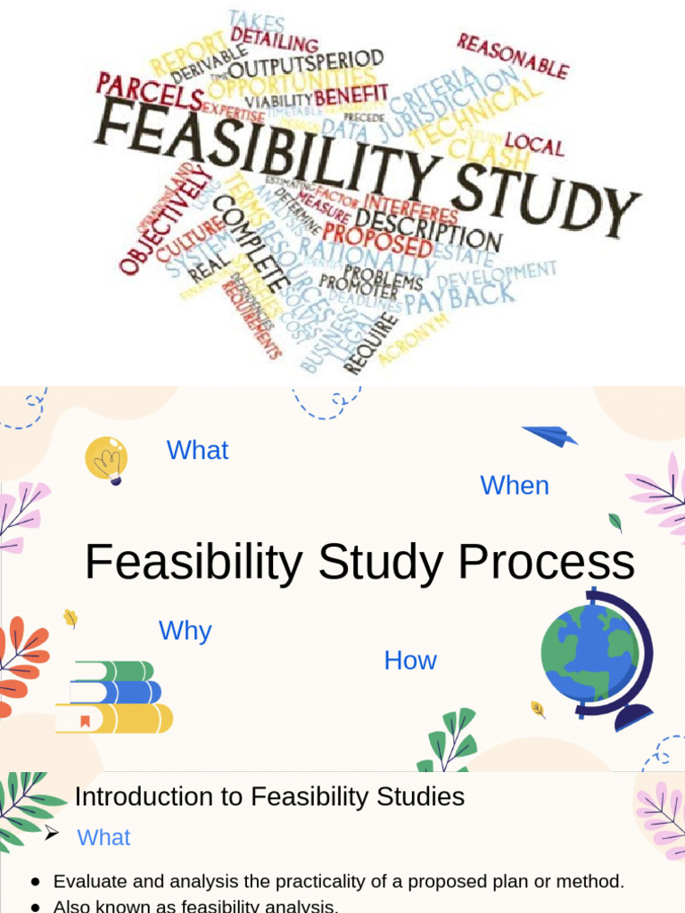 Feasibility Study Process Mercado Sarah | PDF | Feasibility Study | Net Present Value