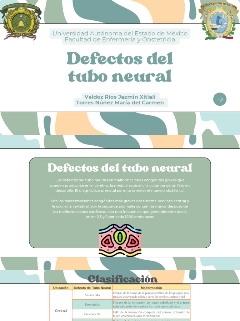 Defectos del tubo neural: causas y diagnóstico | PDF | El embarazo ...