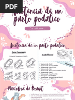 Brandt Andrews | PDF | Partería | Parto