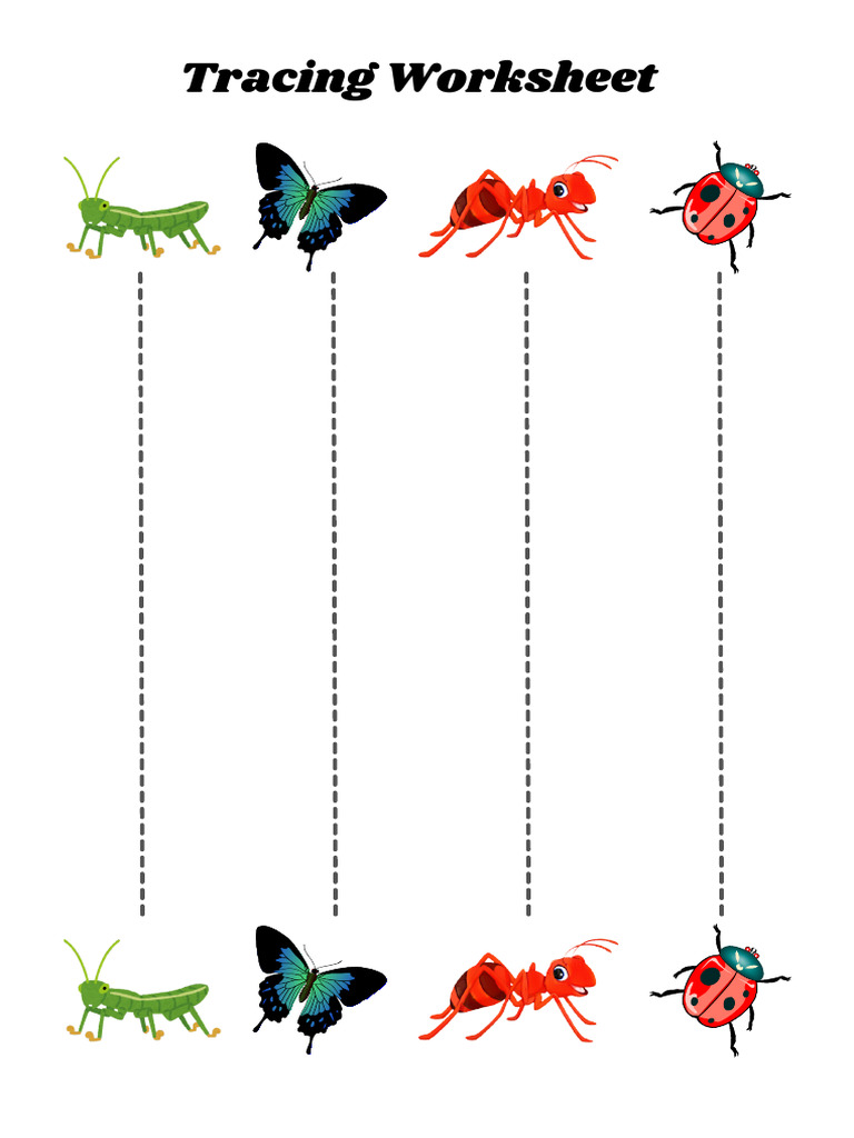 Colorful Insect Handcrafted Tracing Worksheet For Preschool - 20250211 ...
