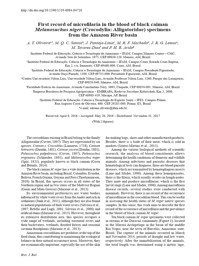 First Microfilaria in Black Caiman Blood | PDF
