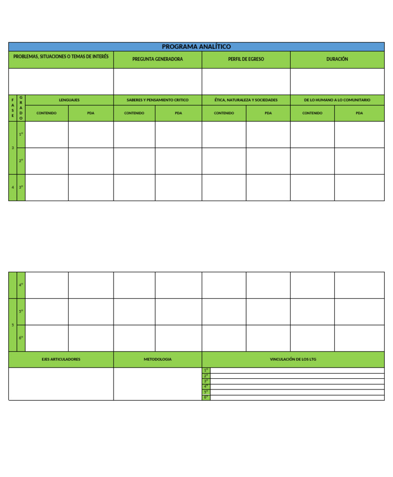 Formato Programa Analitico | PDF