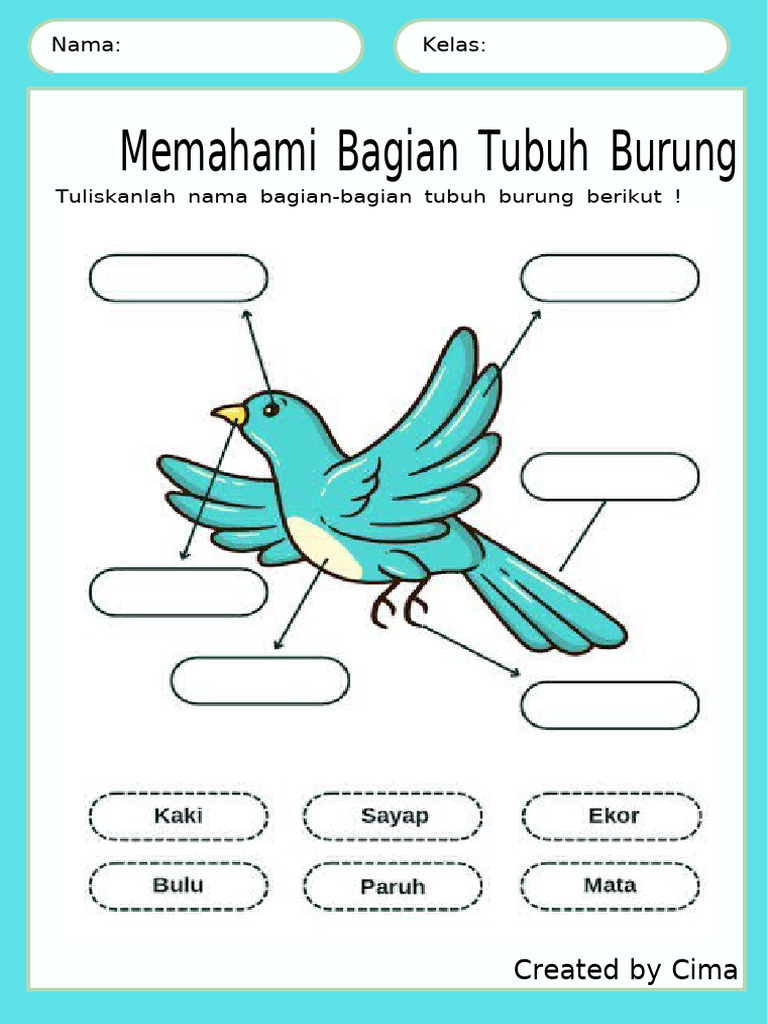Lka Paud Tema Burungbagian Tubuh | PDF