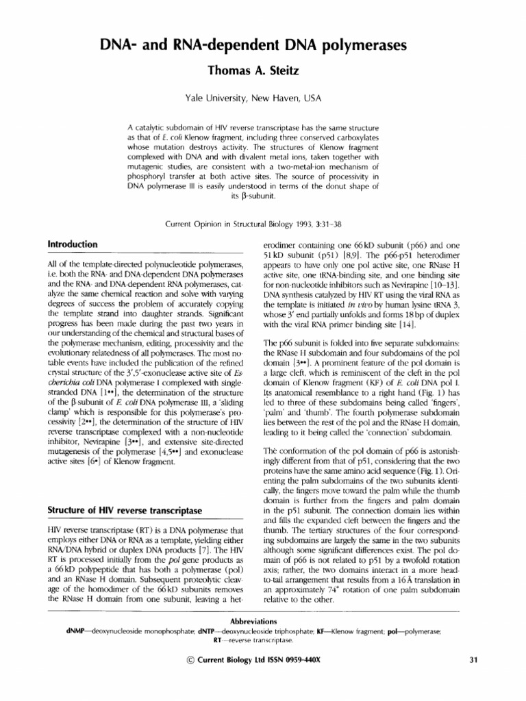 Structure and Function of DNA Polymerases | PDF | Dna | Active Site
